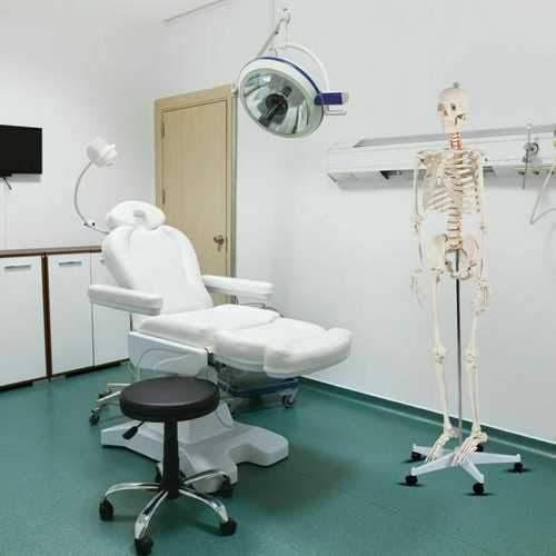 Medical School Human Anatomy Class Life-Size Skeleton Model - Revivalcandy