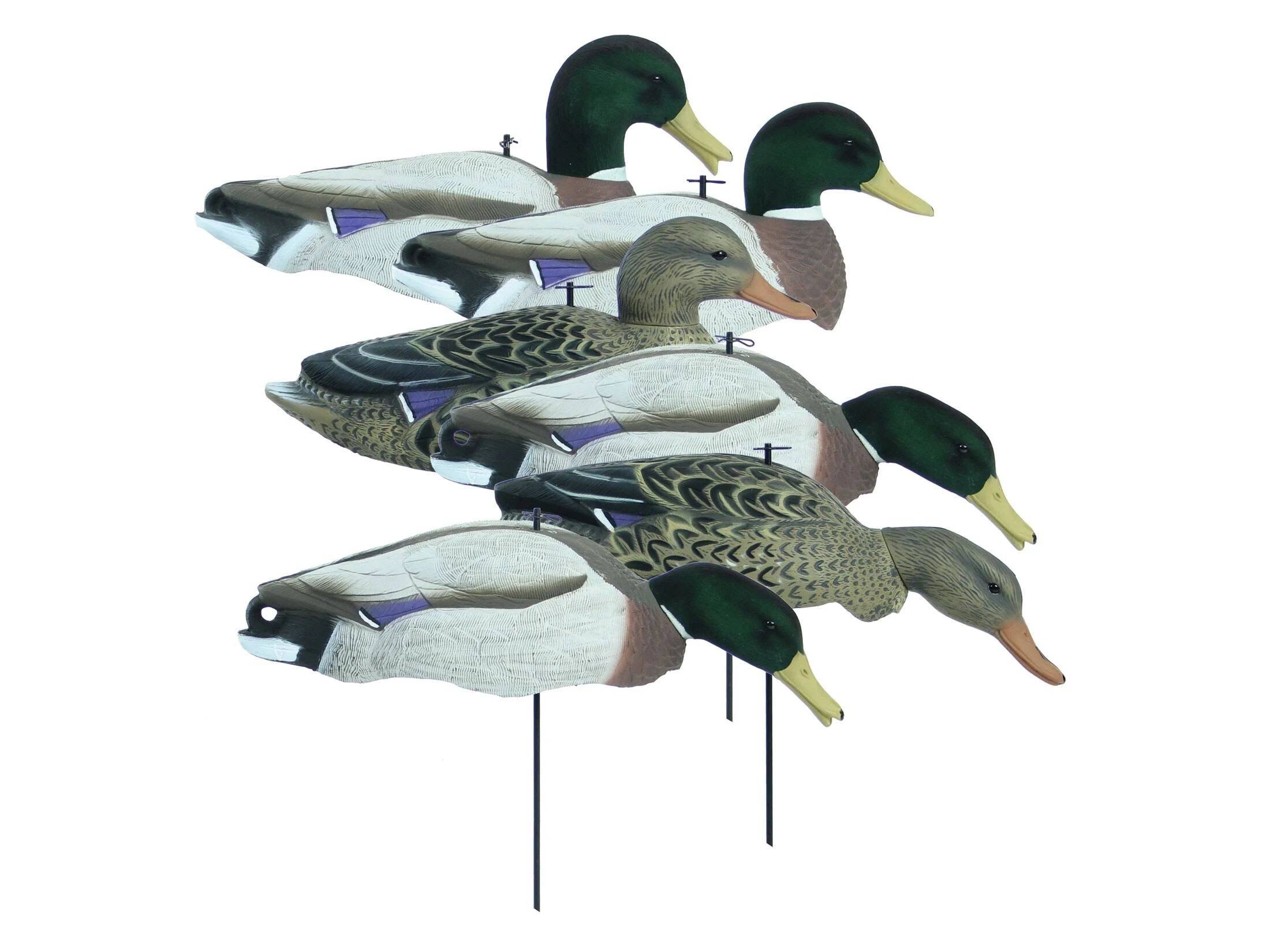 Higdon Magnum Full Form Shell Mallard Decoy Variety 6 Pack 12034 ...