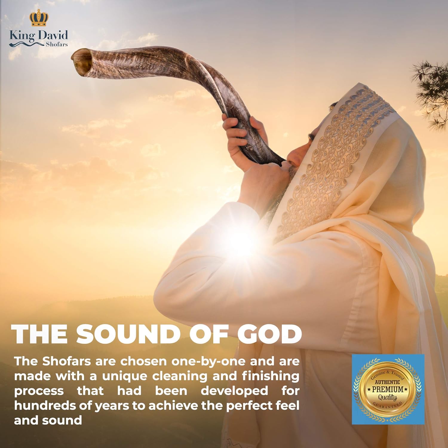 Shofar Horn Instrument - Shofar Angels Musical Instrument - Horn Gift ...