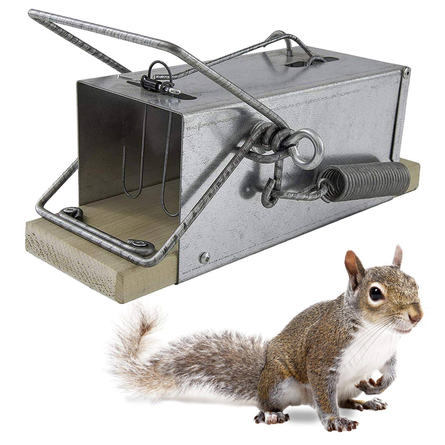 Squirrel Traps Outdoor - Squirrel Traps - Ouell Traps - Trap for ...