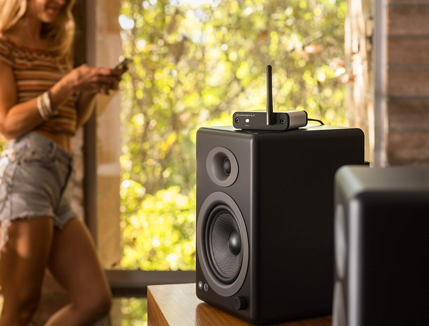 Audioengine B-Fi Multiroom Music Streamer | Hi-Fi Low Latency Wi-Fi ...