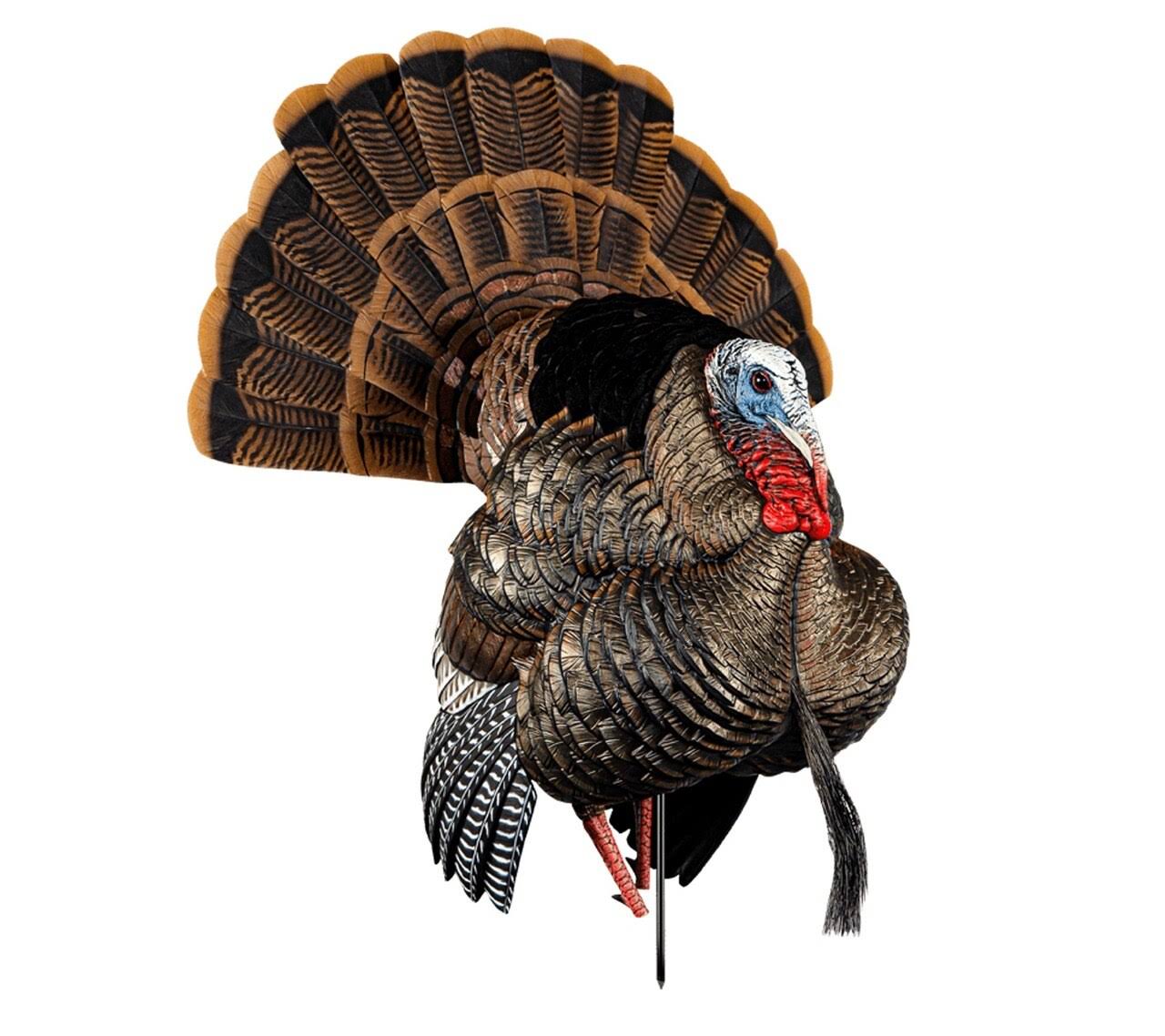Avian x HDR Strutter Turkey Decoy - Revivalcandy