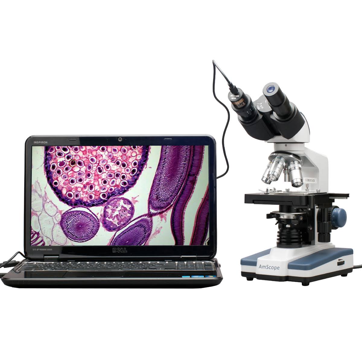 Amscope 40X-2500X LED Digital Binocular Compound Microscope W 3D Stage ...