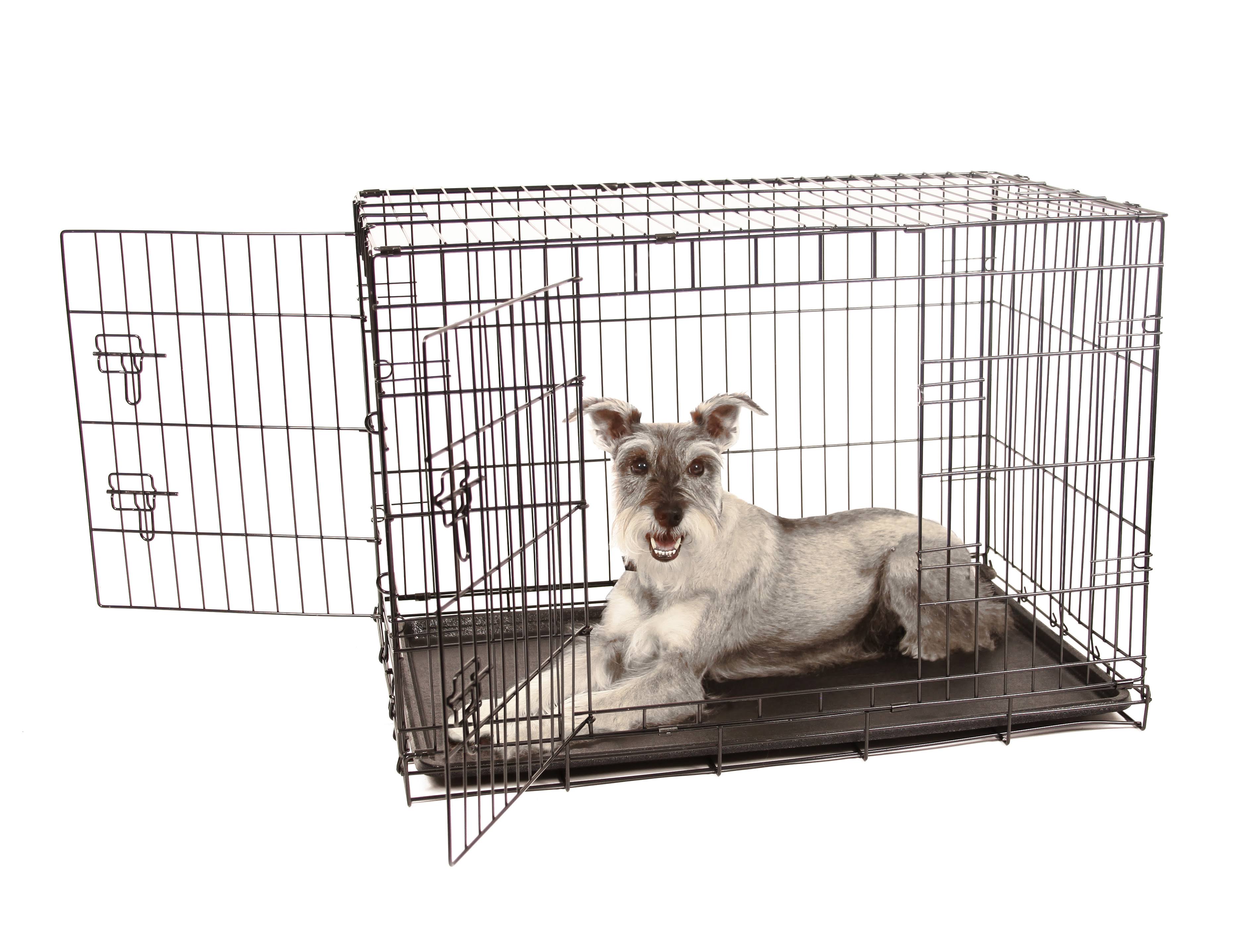 Carlson Secure and Compact Double Door Metal Dog Crate Intermediate ...