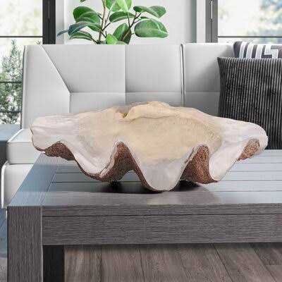 Beachcrest Home Clam Shell Decorative Bowl - Ritoyou