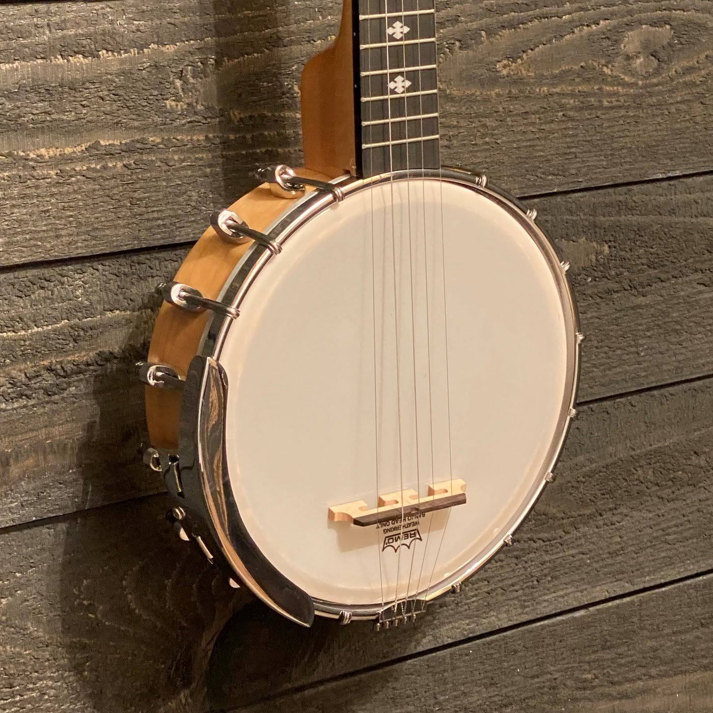 Gold Tone CC-Mini Cripple Creek 8x22 5-String Banjo - Ritoyou