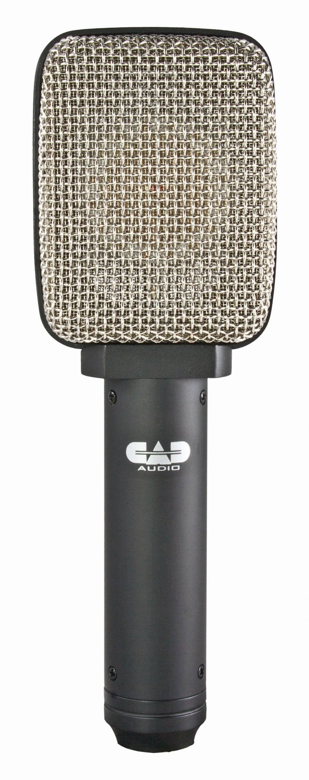 CAD D82 Ribbon Microphone - Ritoyou