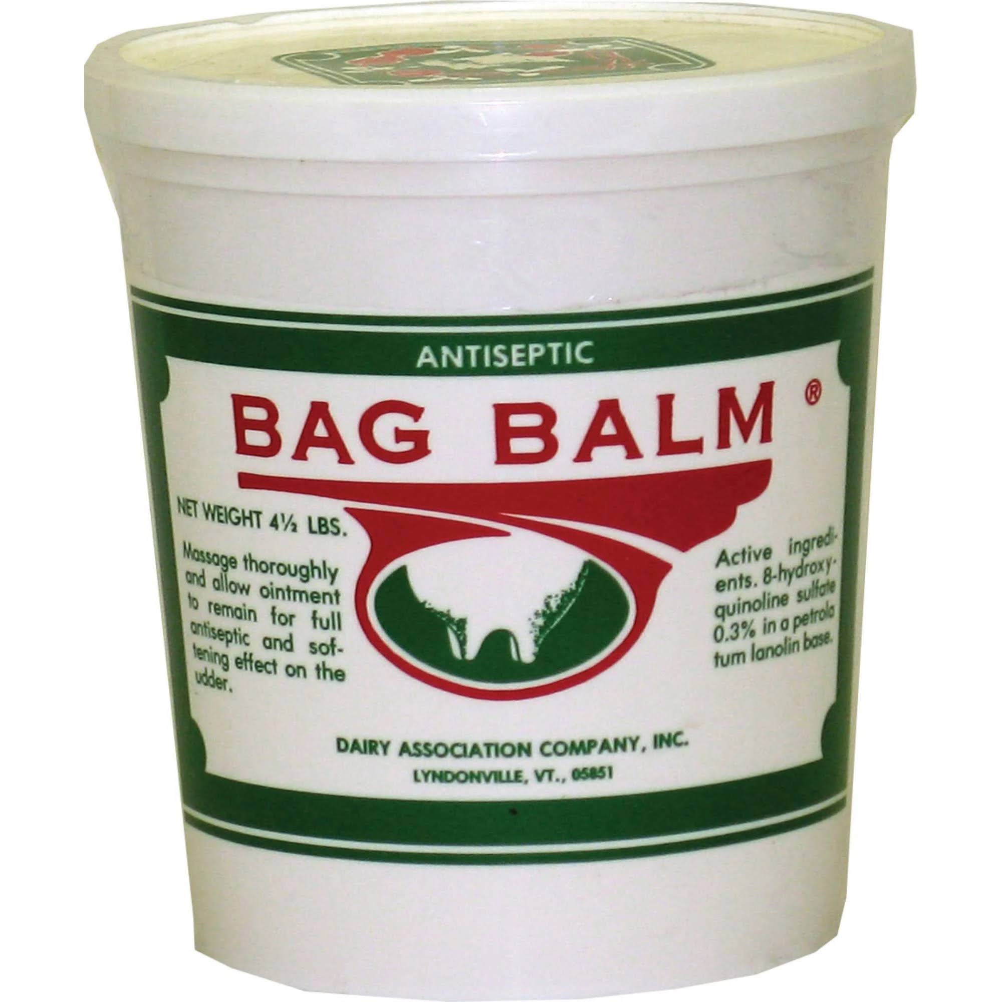 Vermont Original Bag Balm - 4.5lb tin - Ritoyou