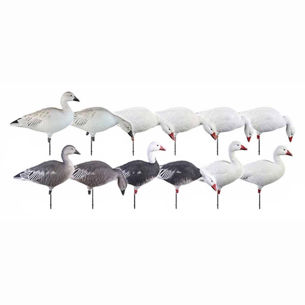 GHG Pro Grade Full Body Snow Blue Harvester Goose Decoys - 12 Pack ...