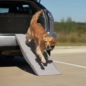 Frisco Tri-Fold Travel Dog Car Ramp, Gray - Ritoyou