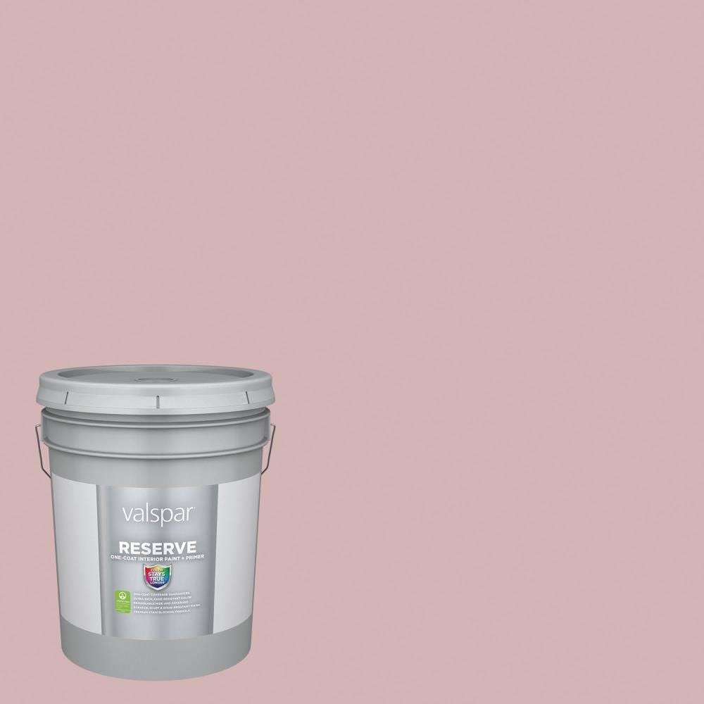 Valspar Reserve Semi-Gloss Bombay Pink 1006-8b Interior Paint (5-Gallon ...