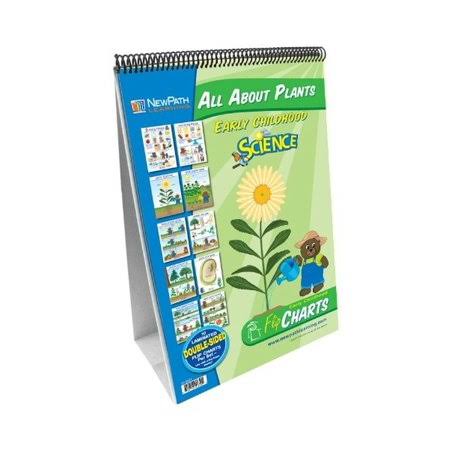 NewPath Learning Math Skills Curriculum Mastery Flip Chart Set Grade 1