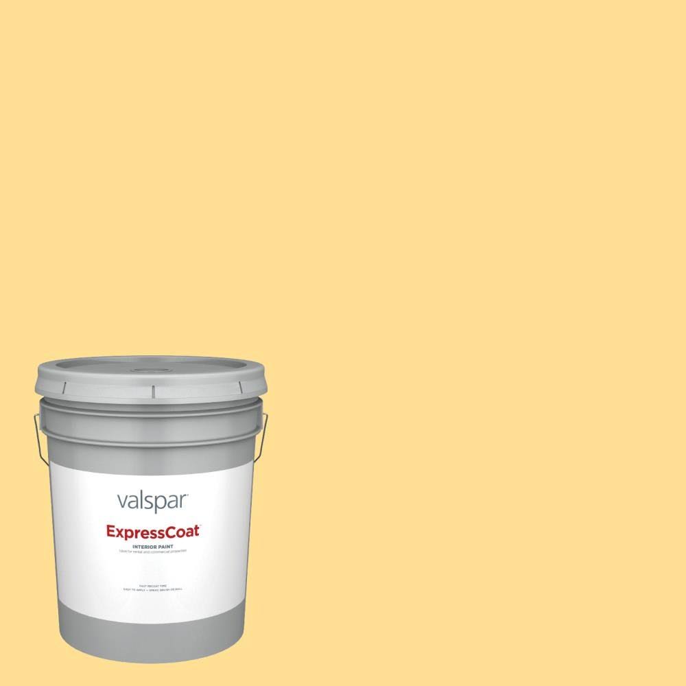 Valspar Pro ExpressCoat Semi-Gloss Outrigger Hgsw1175 Interior Paint (5 ...
