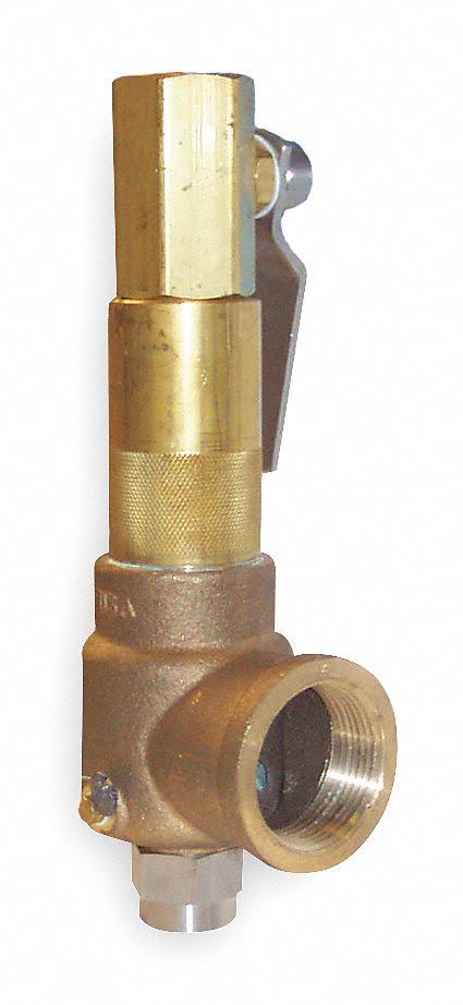 Apollo 523FEBKMAA0500 Pop Safety Valve,1 x 1-1/2 In,500 PSI - Ritoyou