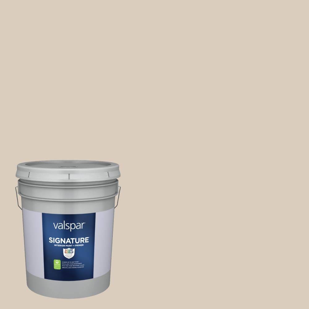Valspar Signature Flat Desert Fortress 2008-10b Interior Paint (5 ...