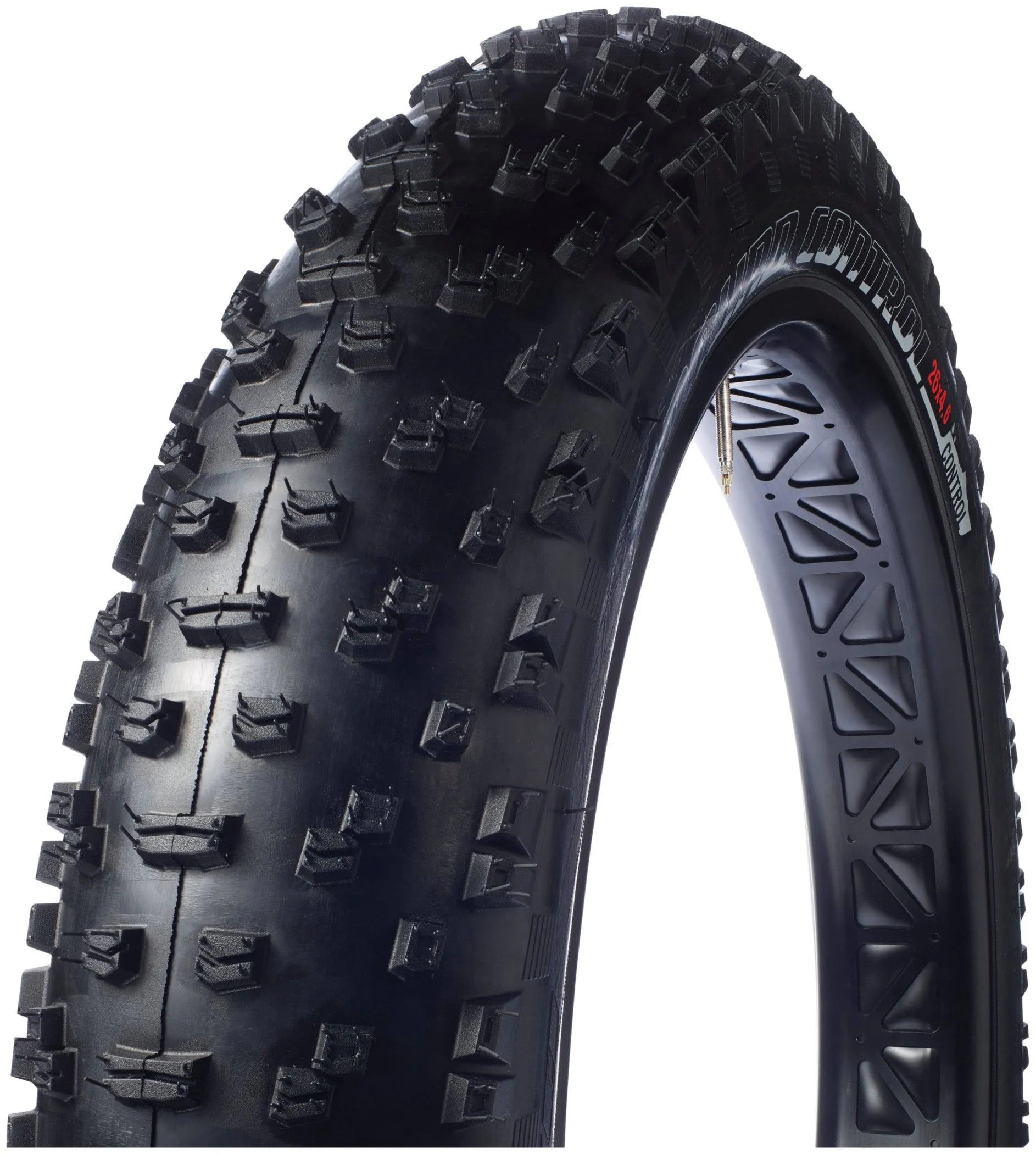Specialized Ground Control Fat Tire (26-inch) - Ritoyou