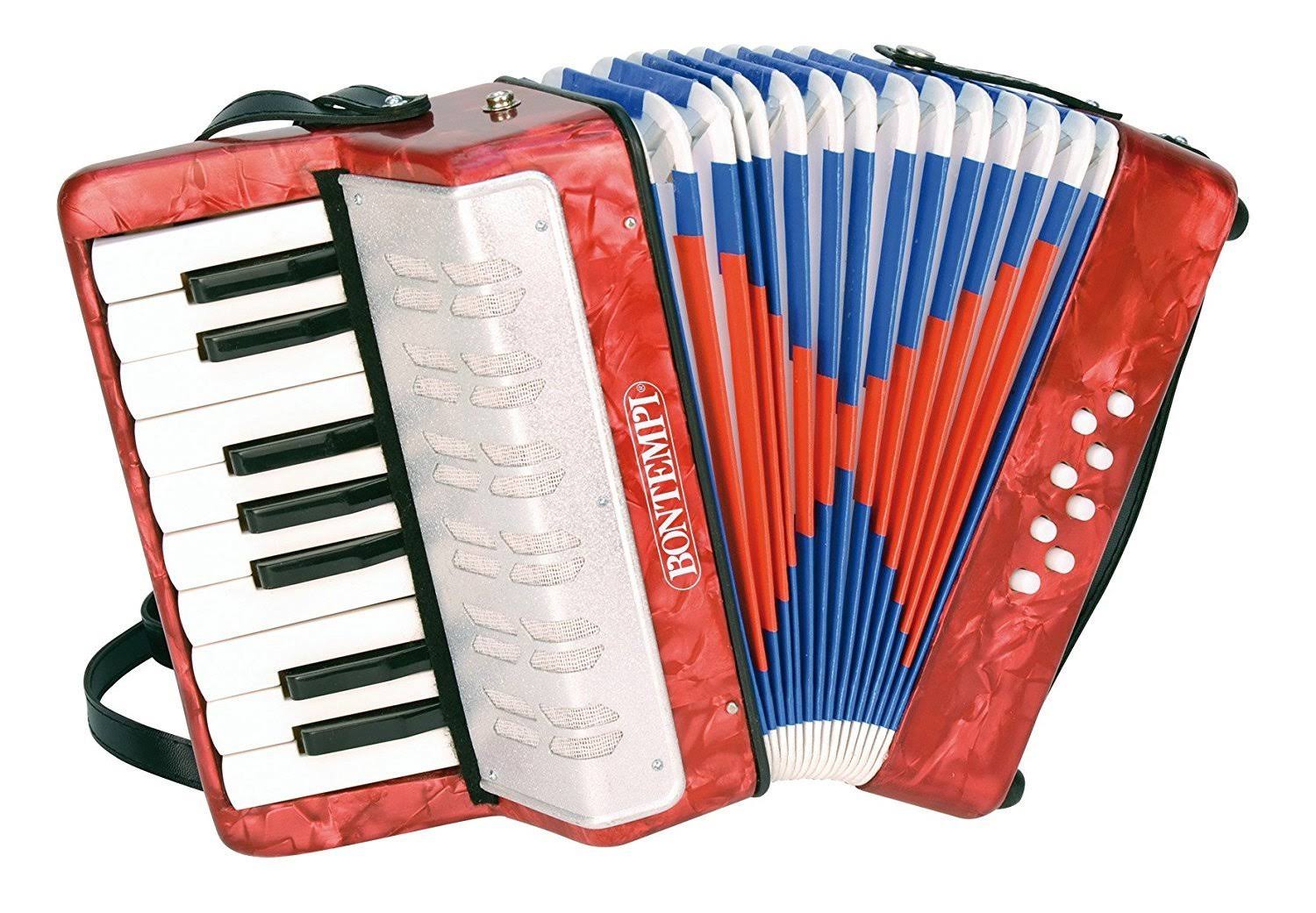 Bontempi - 331730 - Musical INSTRUMENT Accordion - Ritoyou