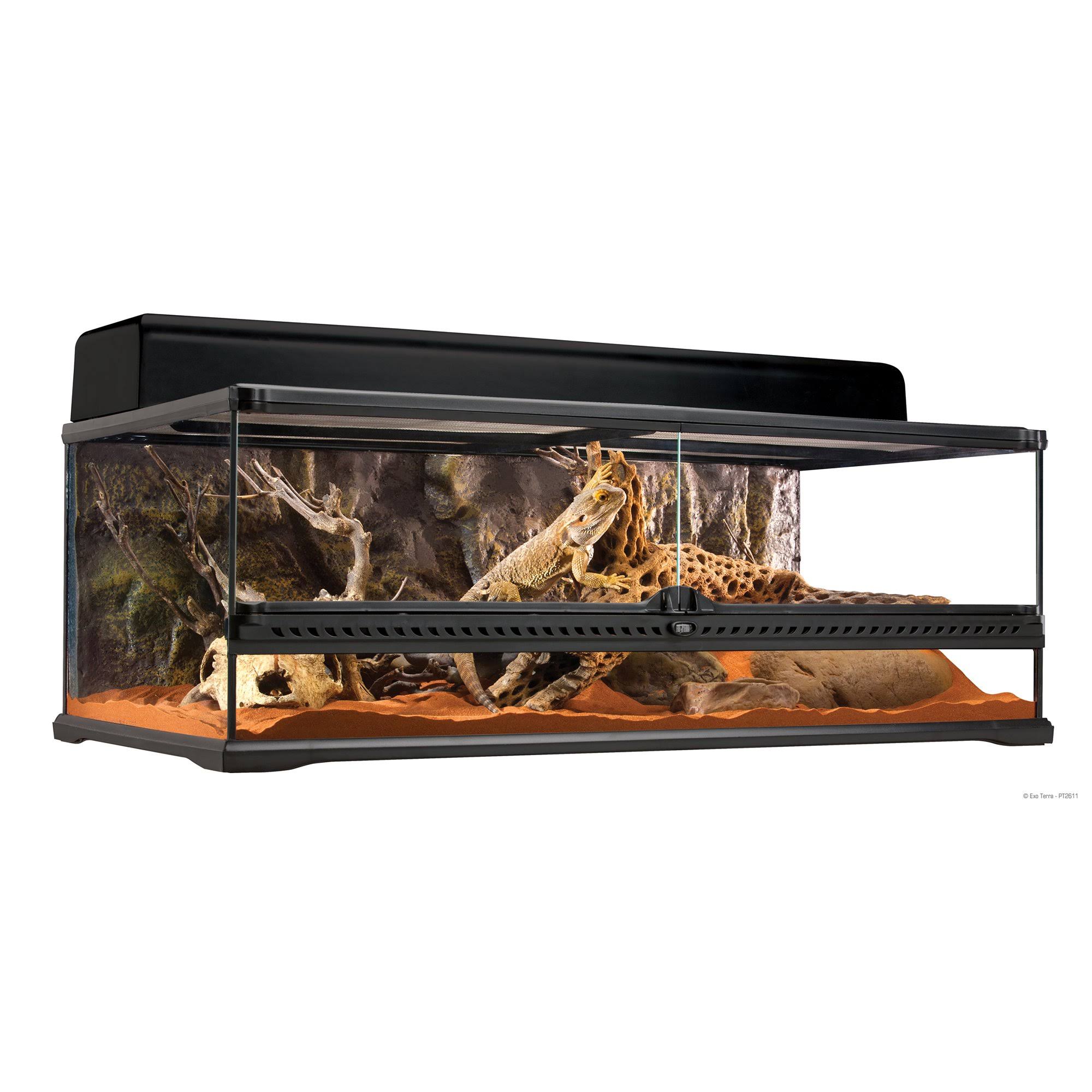 Exo-Terra Glass Terrarium, 36x22 L x 18x22 W x 12x22 H - Ritoyou